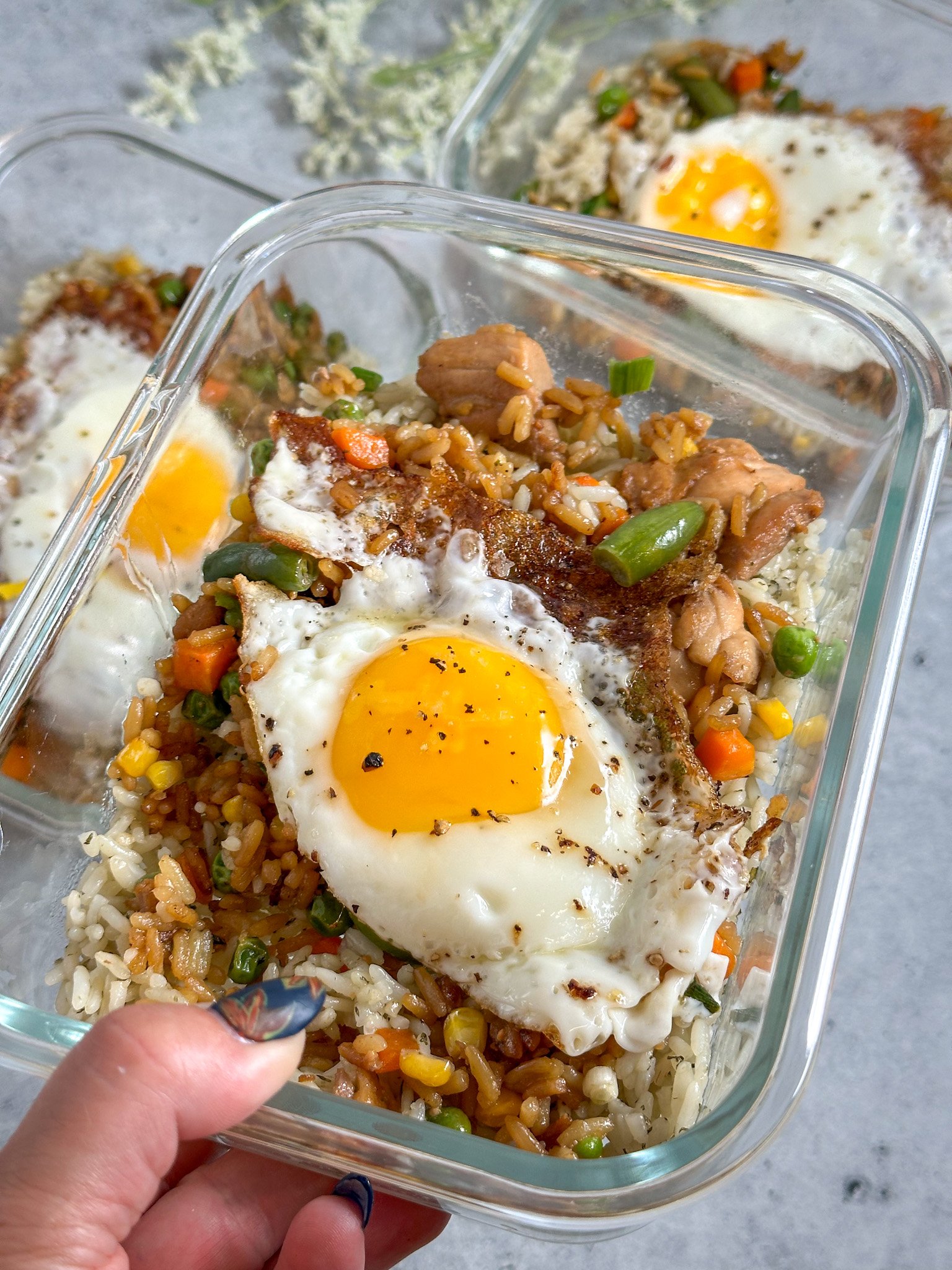 The Best Yakitori Chicken Fried Rice (Costco Favorite) - The Tasteful Tribe