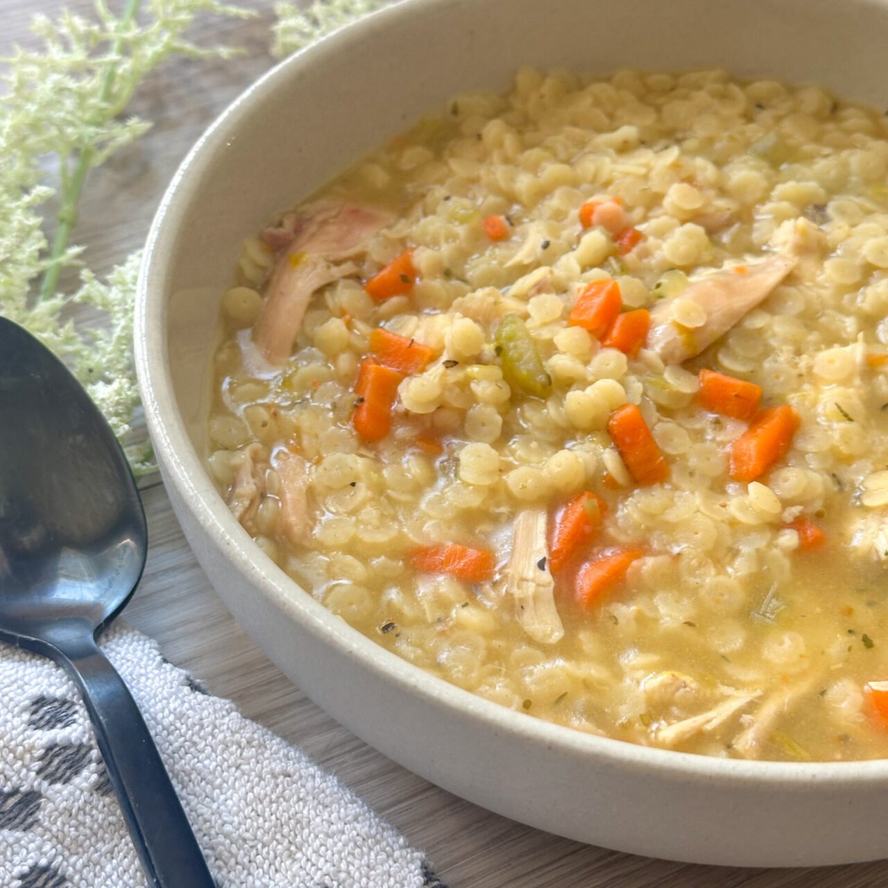 Better Than Grandma's PA Dutch Ham and String Bean Soup - The Tasteful Tribe